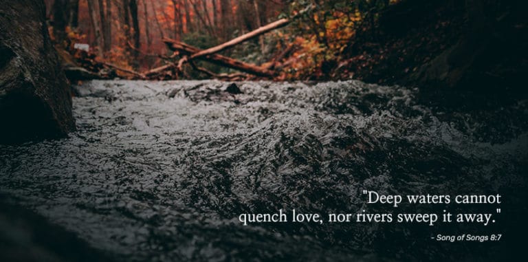 44 Bible Verses About Love and Marriage - Updated With 30 More Verses!